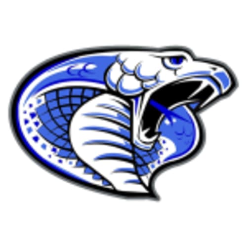 Cobras Youth Sports Organization - Registration