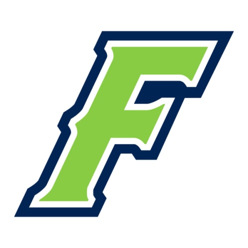 Fury Baseball