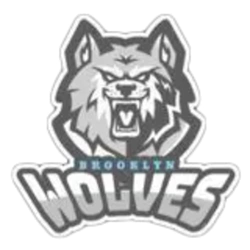 Brooklyn Wolves Basketball Club