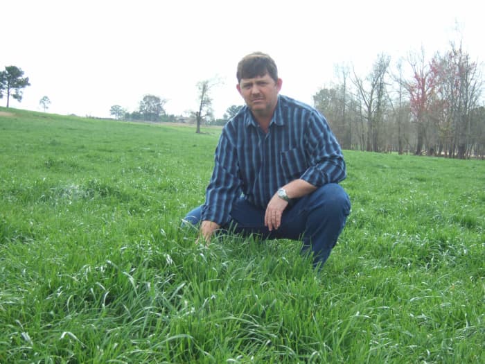 Big Boss Tetraploid Annual Ryegrass