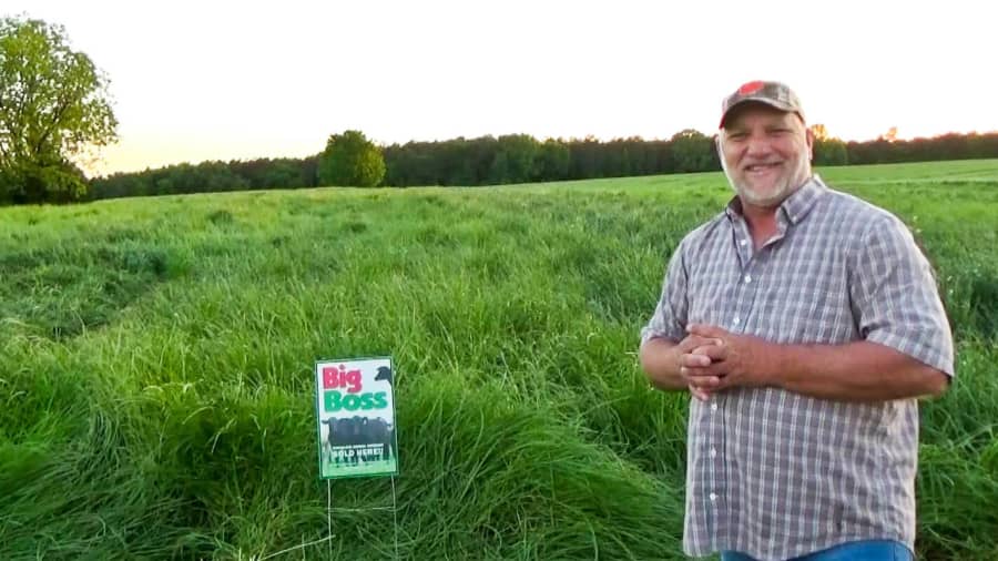 Big Boss Tetraploid Annual Ryegrass