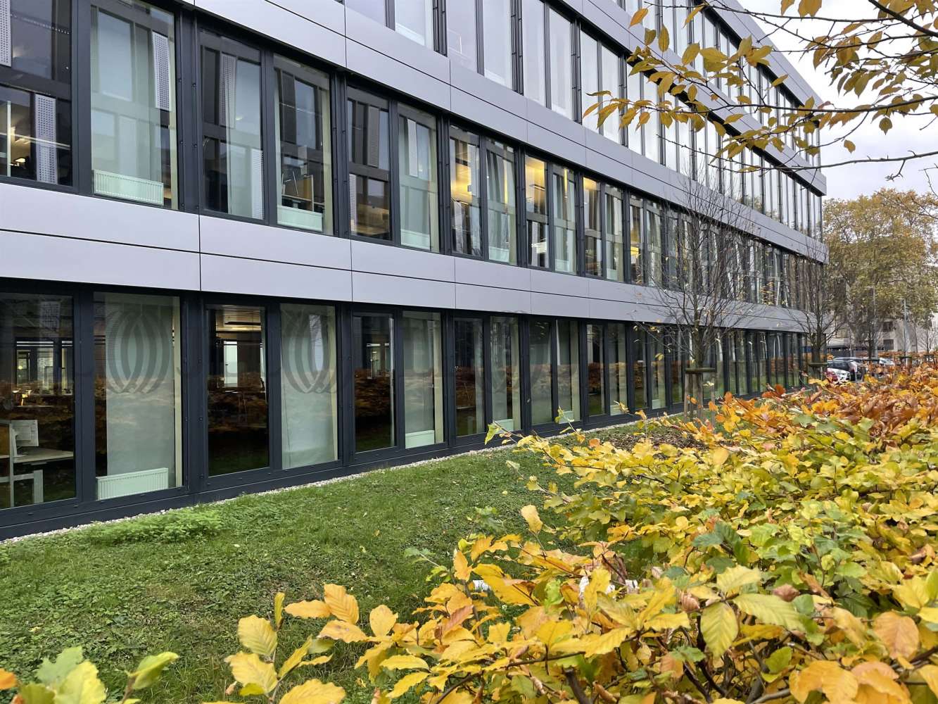 Wunderbar 67071 Ludwigshafen Am Rhein Bild