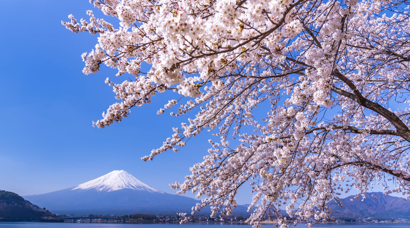 National Parks of Japan Official Site | Ministry of the Environment