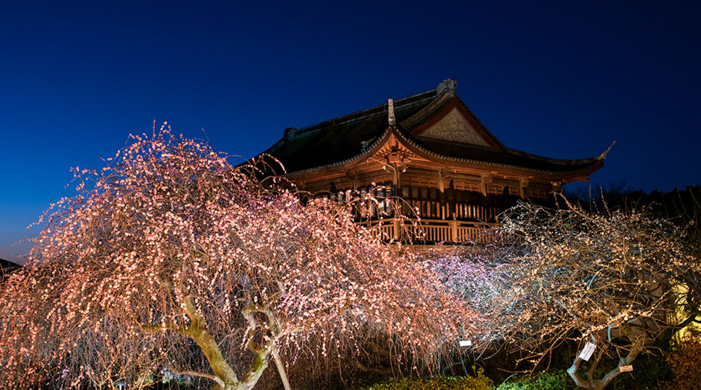 Meet Park Ranger Akira Kaneko | National Parks of Japan