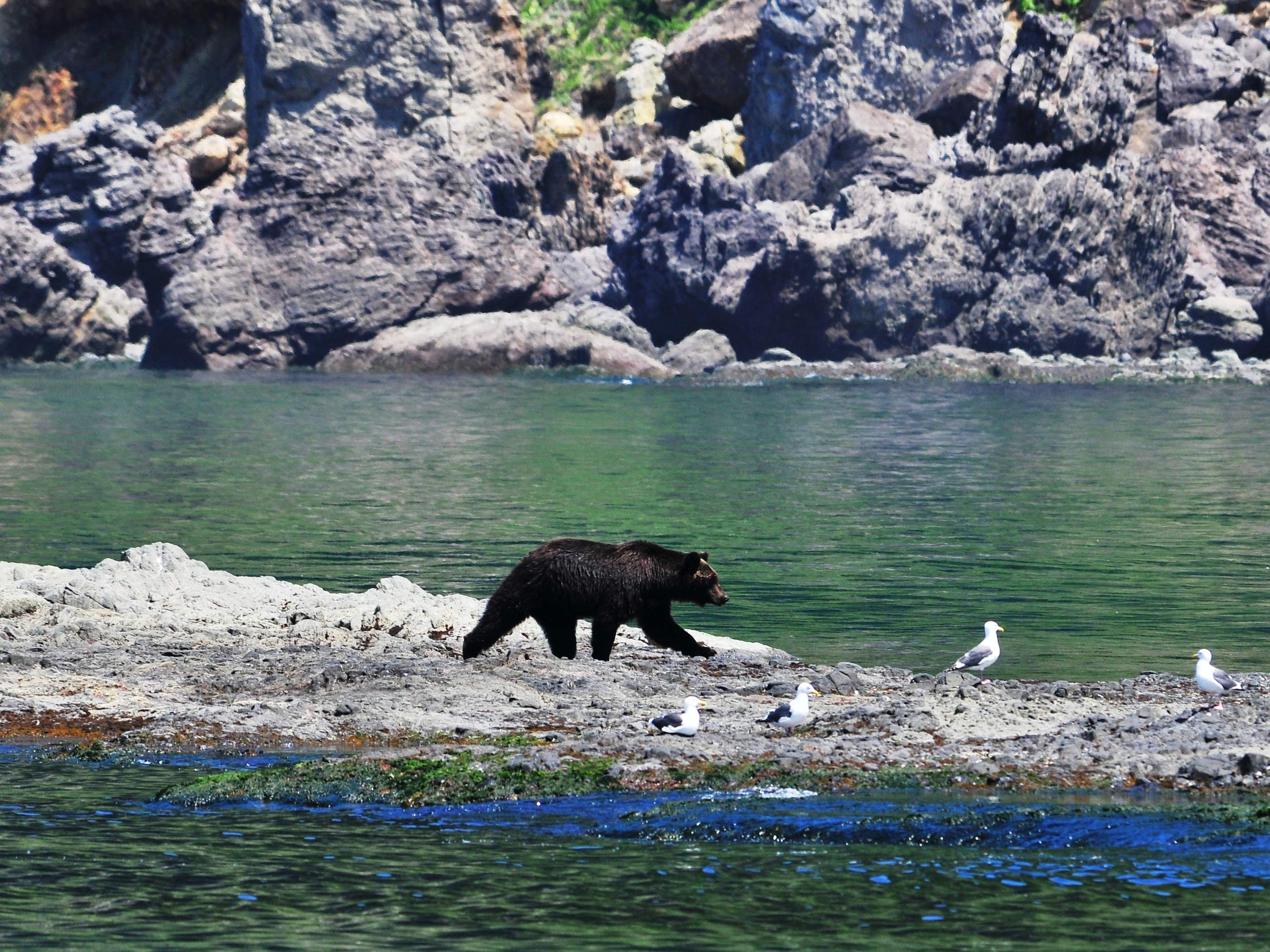 Shiretoko | National Parks of Japan