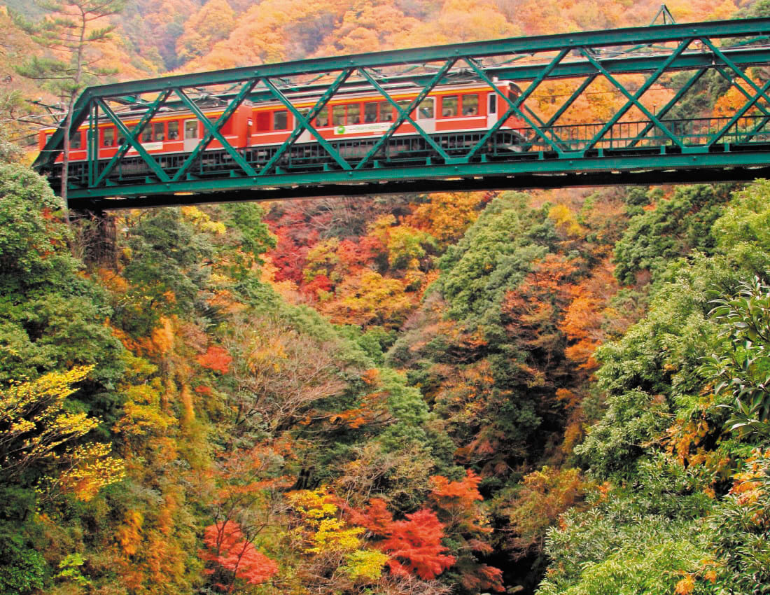 Explore the Volcanic Landscape of Hakone | National Parks of Japan