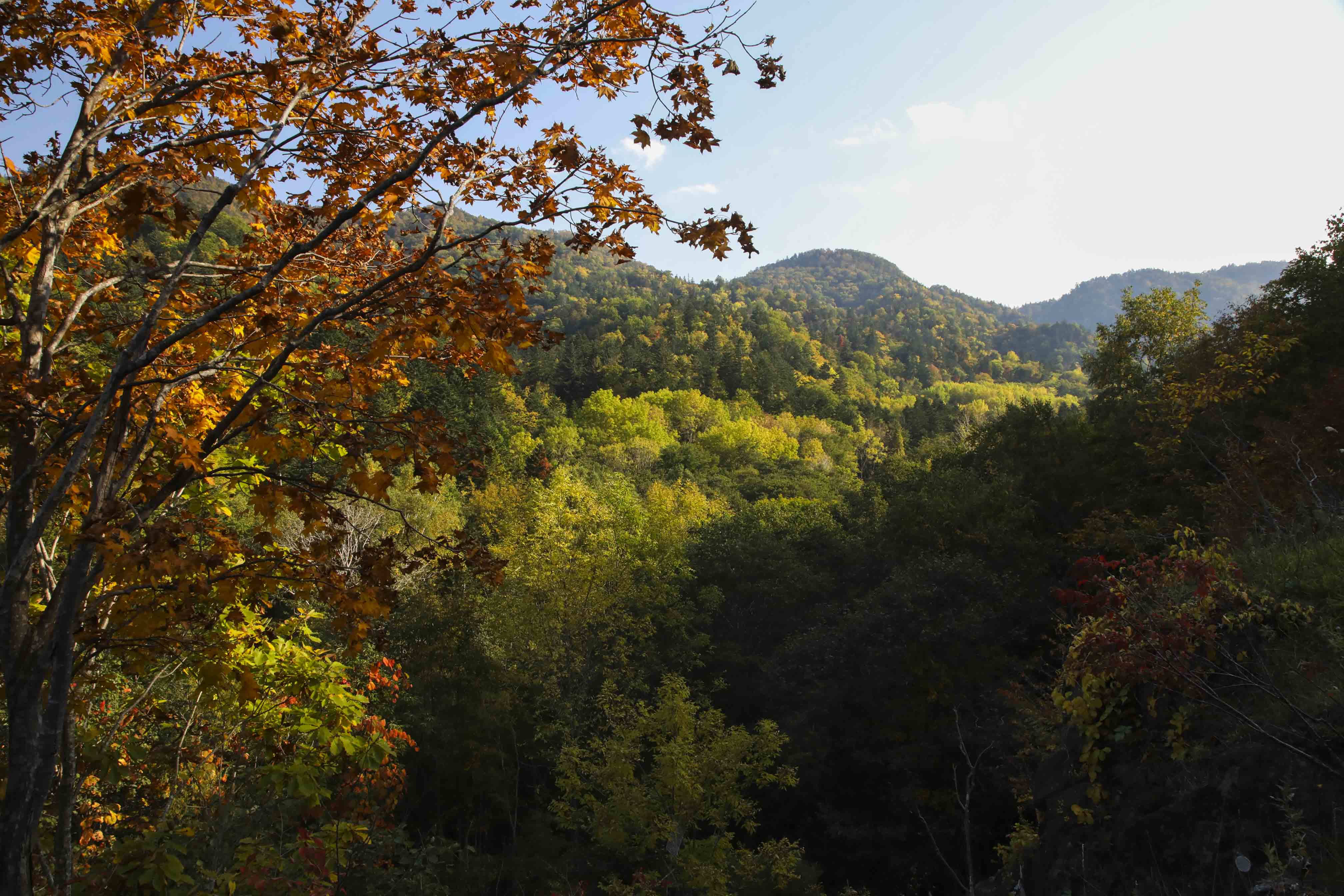 Fruit Picking at Jozankei Farm | National Parks of Japan