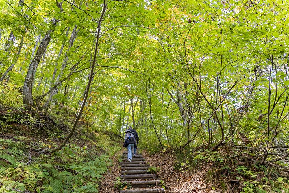 Japan’s Natural Heritage Sites | Blog | Travel Japan (Japan National ...
