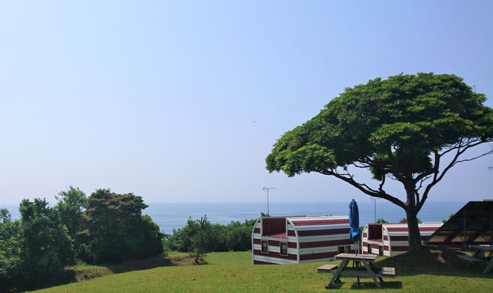 The Oshika Peninsula: Land of the Sacred Deer | Blog | Travel Japan ...