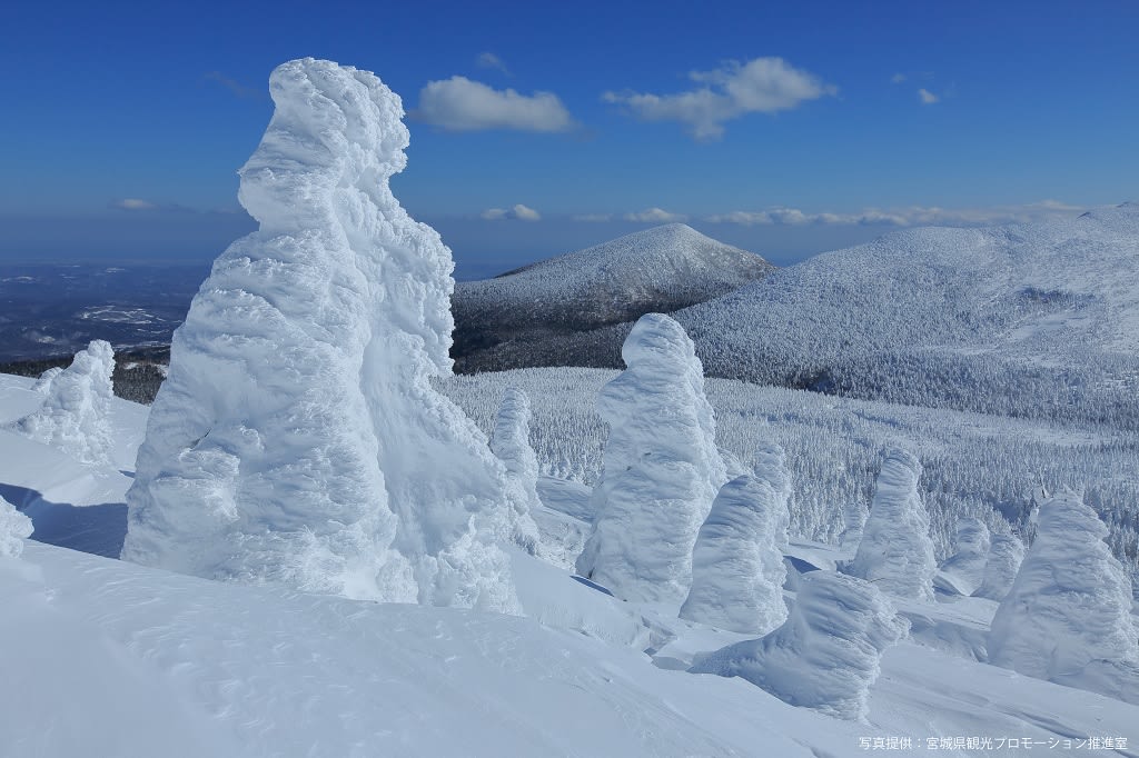 Natural Wonders in Japan to Visit in Winter