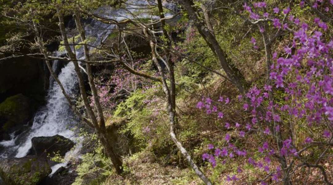 Top 6 Incredible Hiking Spots to Get Your Japan-fix | Blog | Travel ...