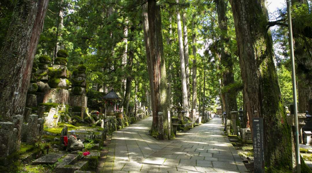 Visit Mount Koya, Japan's Most Sacred Mountain | Blog | Travel Japan ...