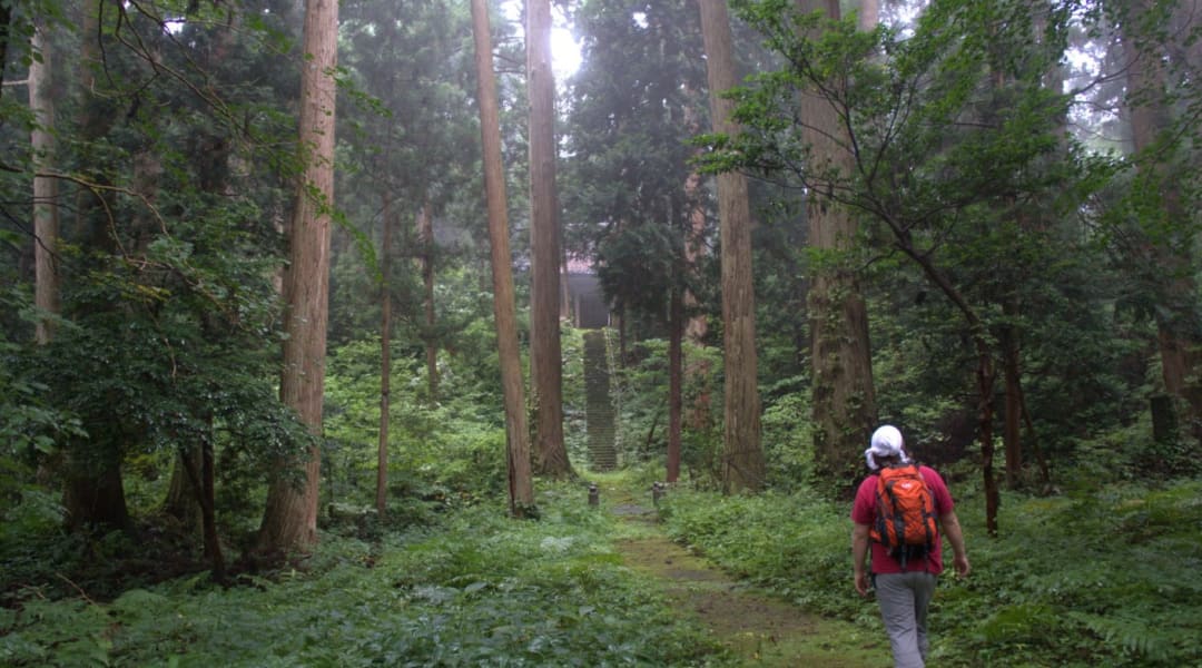 Postcards from Japan: Becoming a Yamabushi monk in the mountainous ...