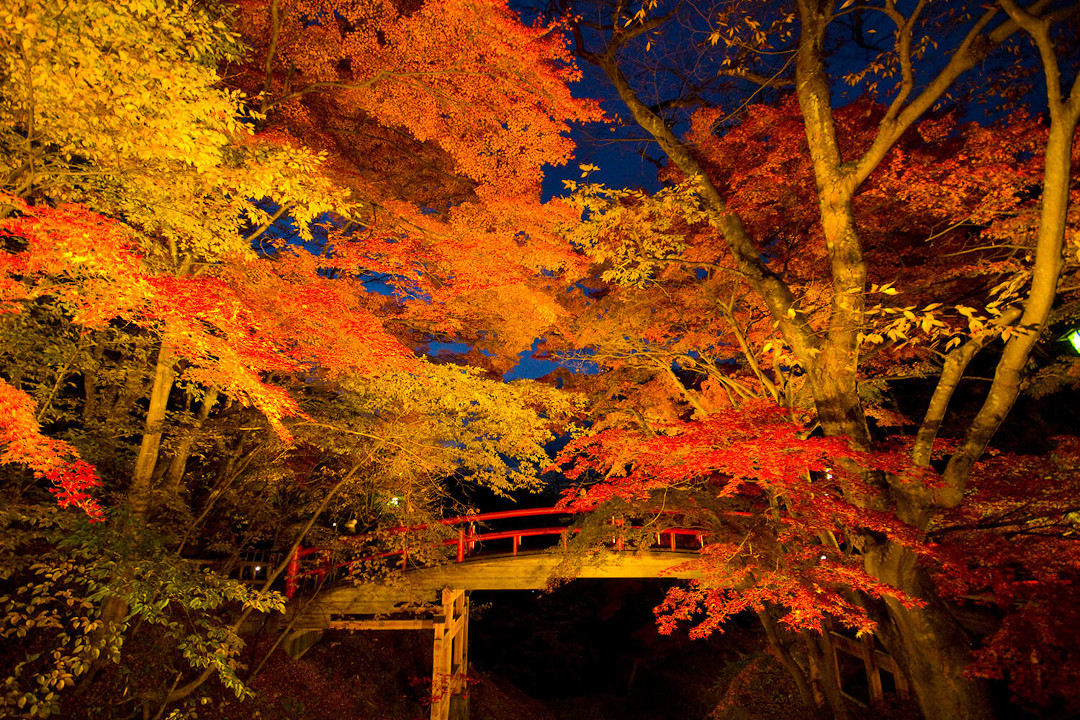 9 places to see autumn leaves in Gunma
