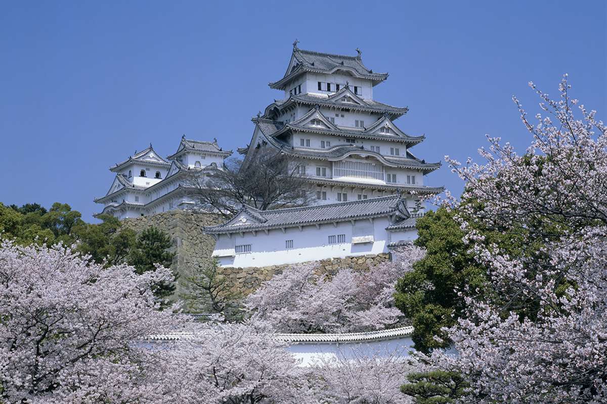 Japan’s Muslim-Friendly Tourism: What Travelers Need to Know