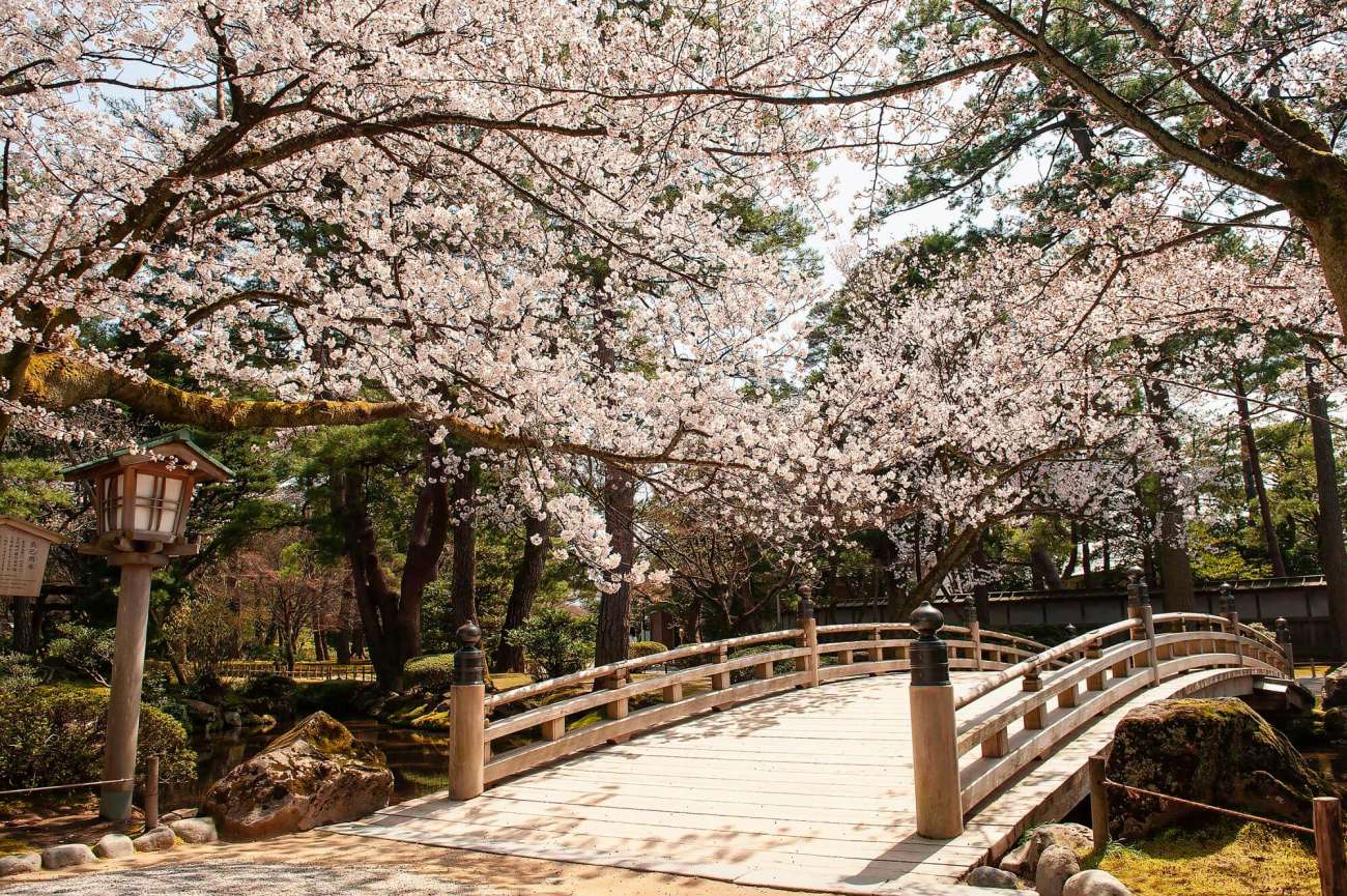 Exploring the Beauty of Ishikawa and Toyama for Muslim Travelers ...