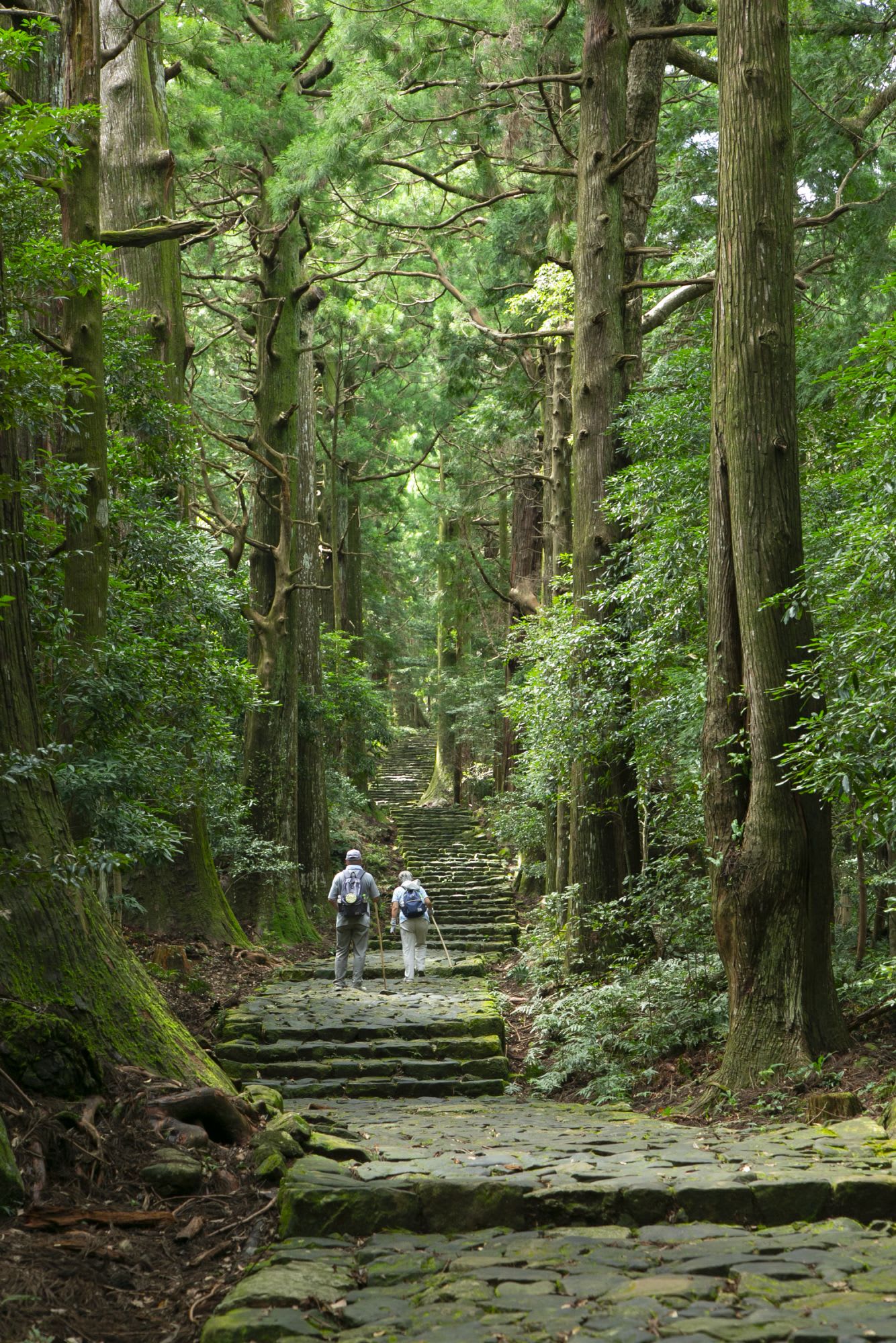 Übernachten im japanischen Tempel – Shukubo | Japan Blog | Japanische Fremdenverkehrszentrale (JNTO)