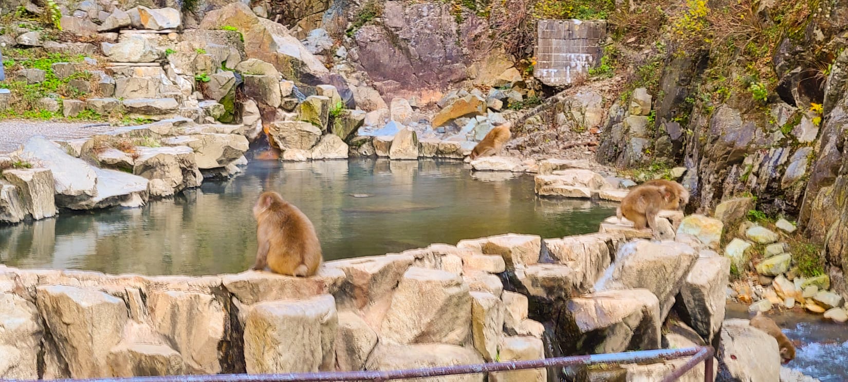 Traveler Ryotaro's Japan | National Parks of Japan