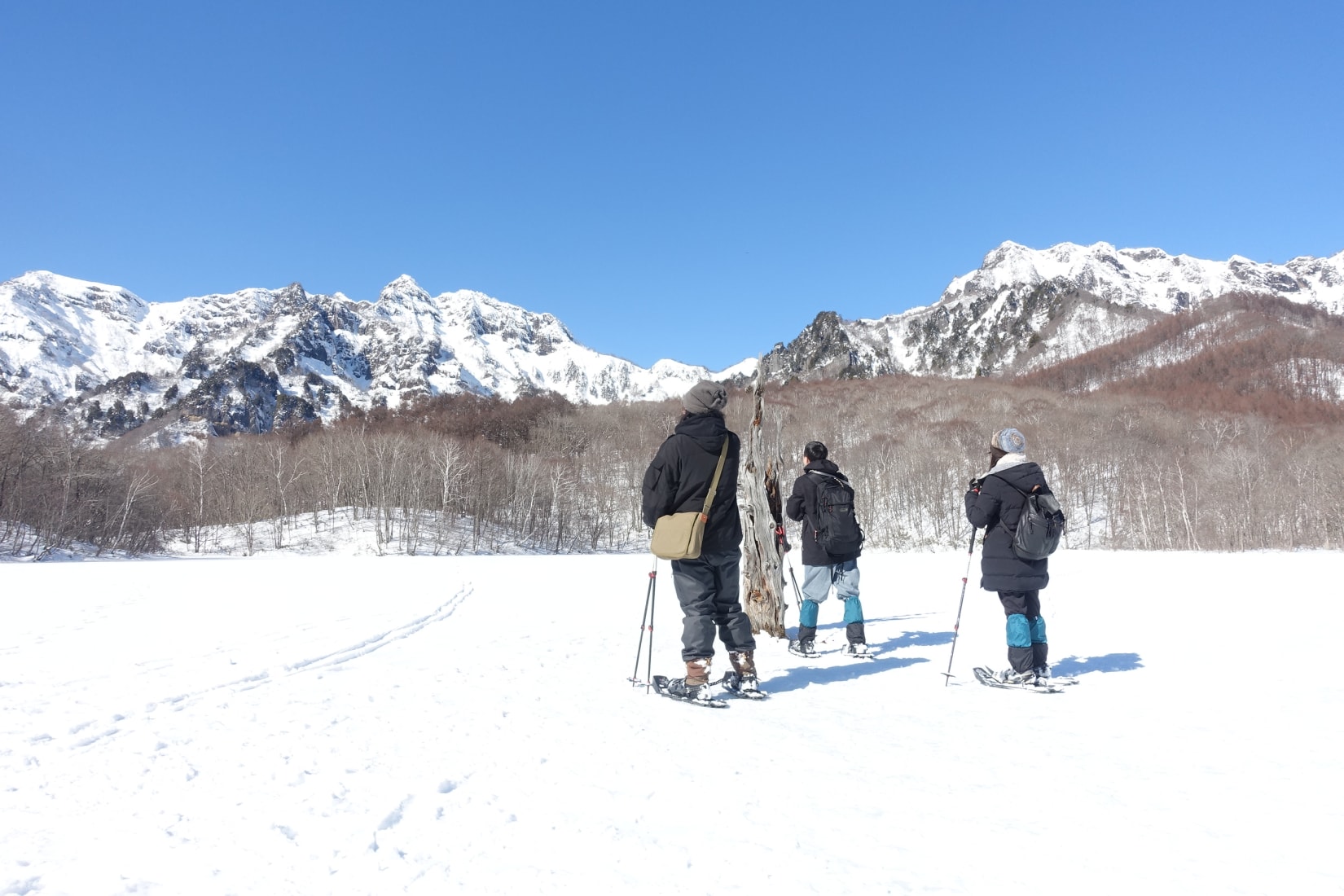 1DAY SNOWSHOE HIKING IN TOGAKUSHI | National Parks of Japan