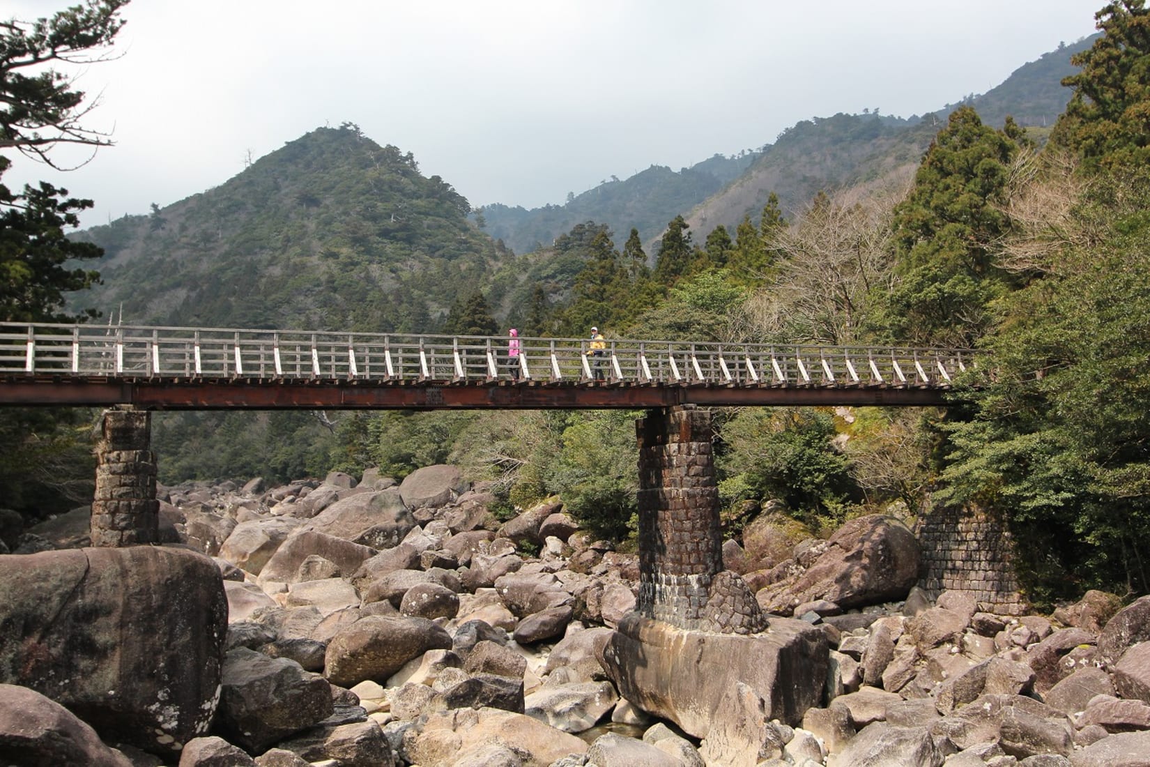 Explore the Remains of a Logging Settlement and Try Yakushima ...