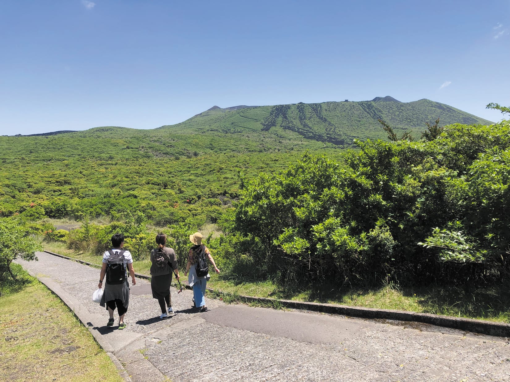 Volcanic Exploration in Izu Oshima Geopark | National Parks of Japan