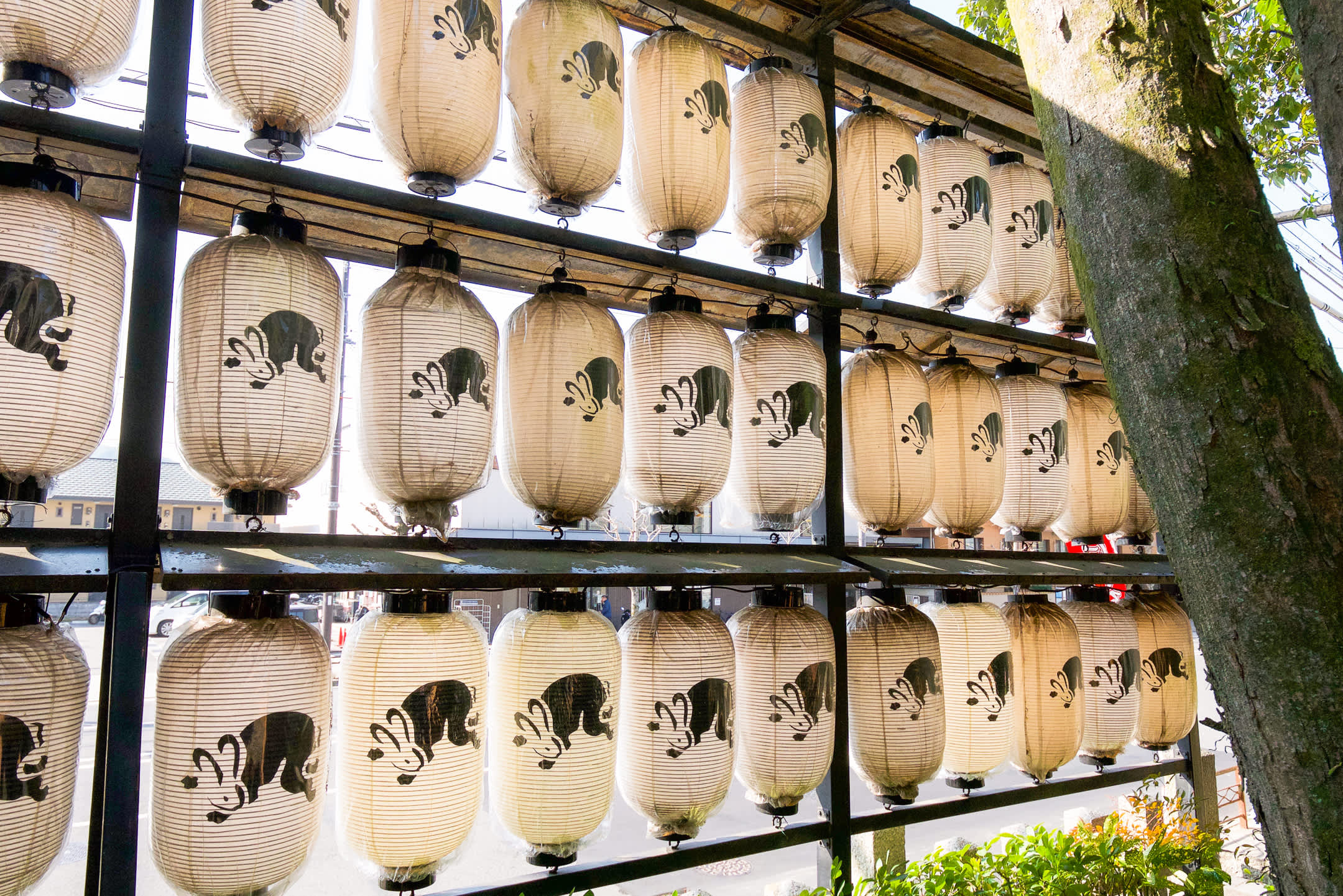 6 Bunny Places in Japan to celebrate the Year of the Rabbit! | Blog ...