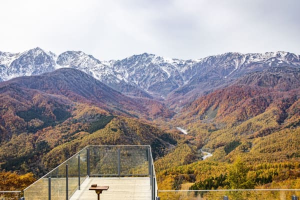 ไปฟินใบไม้เปลี่ยนสีที่ ฮะคุบะ กันเถอะ