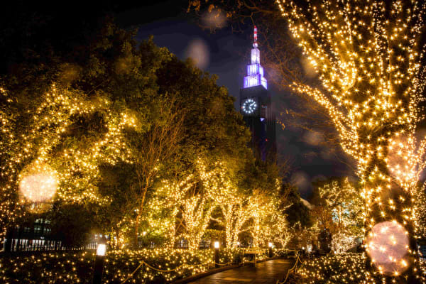 Surrounded by the Lights: Top 10 illuminations in Japan | Blog | Travel ...