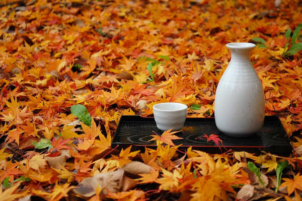 Discover Japan in the Off-Season | Blog | Travel Japan (Japan National ...