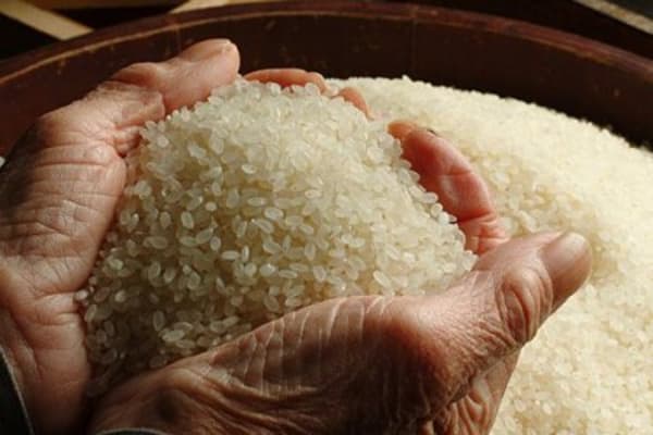 Environmental Miracle: The Rice that is Saving Japan’s Endangered Wildlife