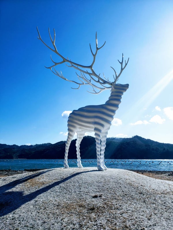 The Oshika Peninsula: Land of the Sacred Deer | Blog | Travel Japan ...