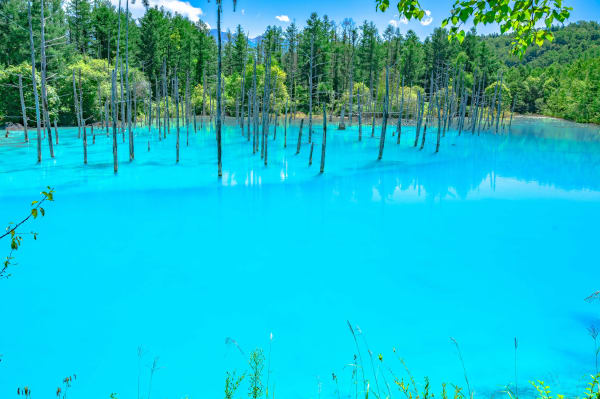 A stunning blue pond created by accident