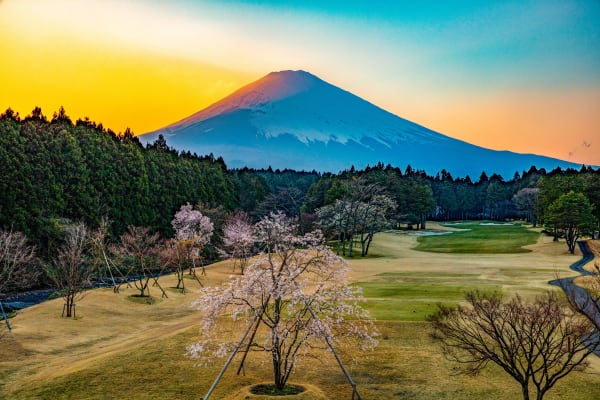 Playing a scenic game