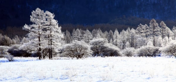The winter scenery of Nikko National Park as well as Yuba cuisine and ...