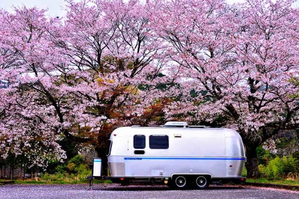 Road Trips and Van Life in Japan | Blog | Travel Japan (Japan National ...