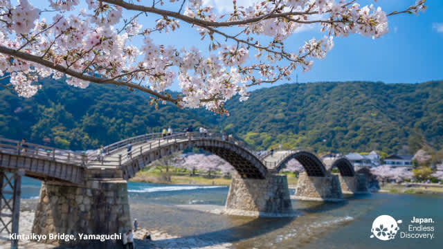 Bring Japan to your conference calls with these virtual backgrounds