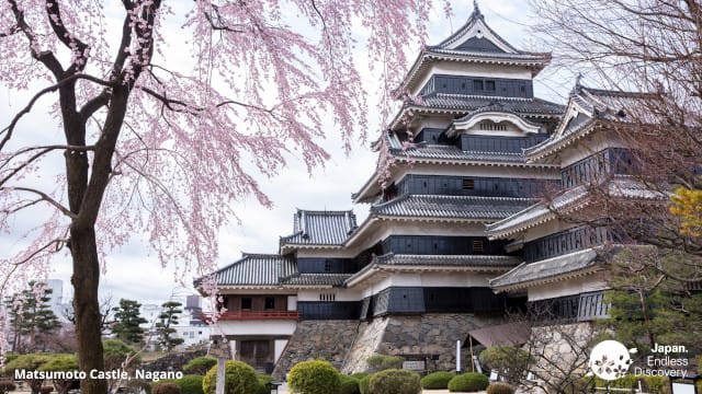 Virtuelle Backgrounds für Zoom, Skype und Co. | Japan Reise ...