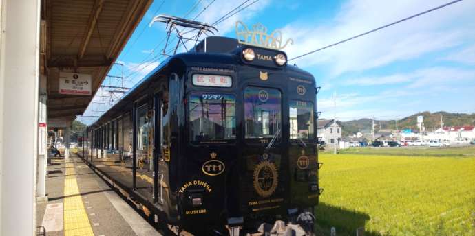 The Cat Stationmaster of Kishi Station The Cat Stationmaster of Kishi Station