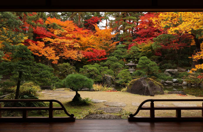 Niigata Furumachi Geigi