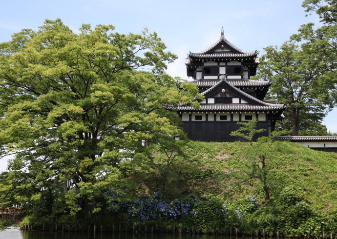 Joetsu Lotus Festival
