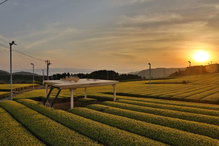 Tea Experiences in Ureshino | Arts & Culture | JAPAN. WHERE LUXURY ...