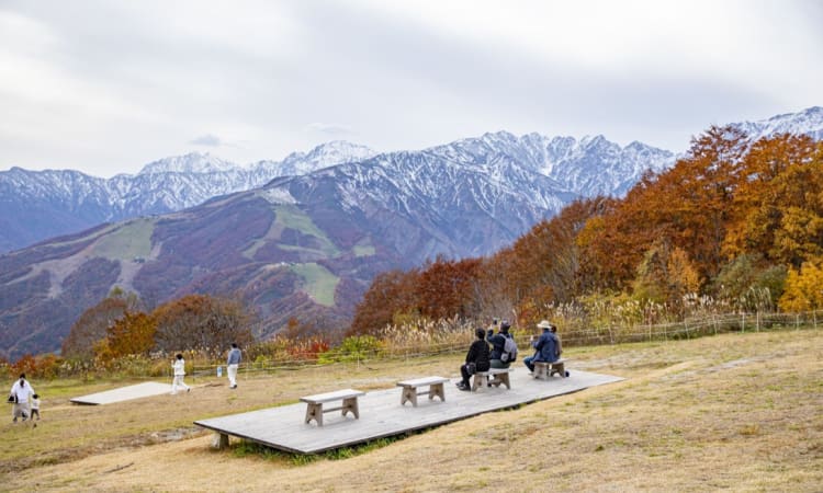 ไปฟินใบไม้เปลี่ยนสีที่ ฮะคุบะ กันเถอะ