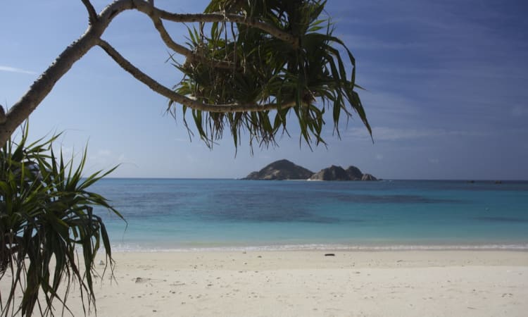 สถานที่ที่ไม่ควรพลาดเมื่อมาถึงโอกินาว่า (Okinawa)