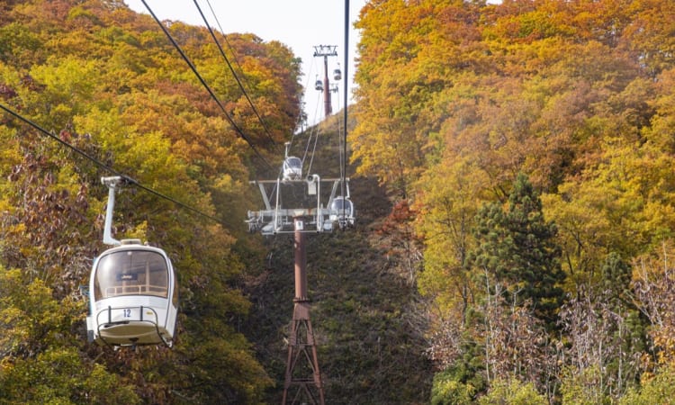 ไปฟินใบไม้เปลี่ยนสีที่ ฮะคุบะ กันเถอะ