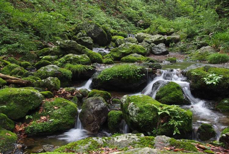 Mt. Mitake | Tokyo | Japan Hiking & Trekking | JNTO
