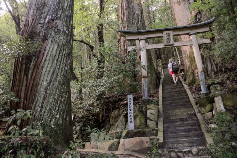 Find Your Spiritual Side on the Kumano Kodo Trail | Experiences in Japan | Travel Japan（Japan ...