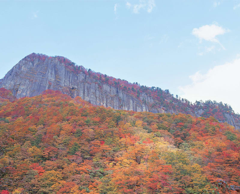 Enjoy Sendai’s Spectacular Autumn Leaves | Japan‘s Local Treasures ...