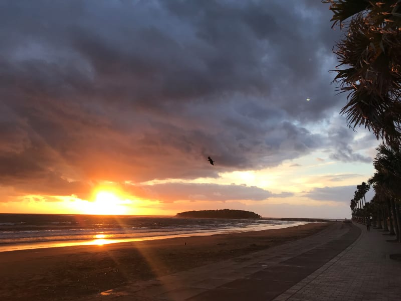 Kick Back on Sun-Soaked Aoshima Beach | Experiences in Japan | Travel ...