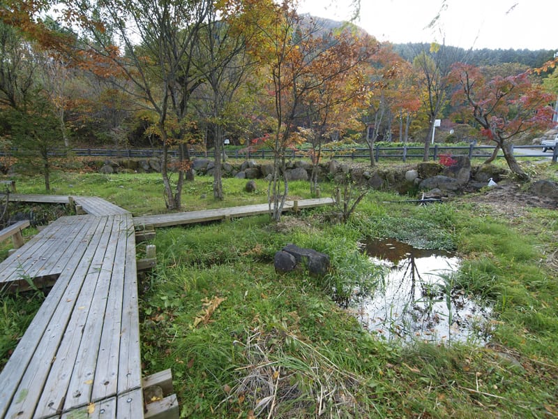 On the Glow: 9 Firefly Viewing Spots in Japan | Blog | Travel Japan ...