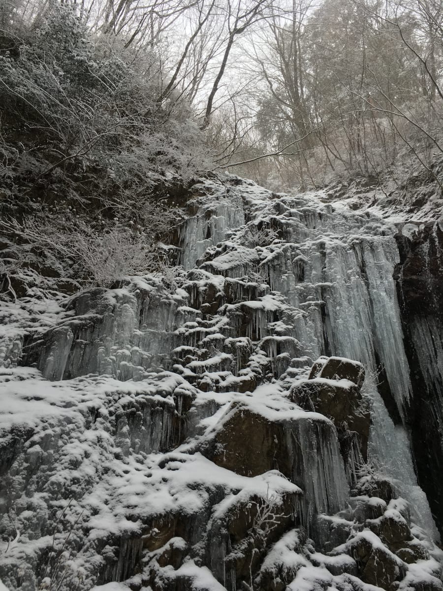 Outdoor Japan (December): Walking in the Snow | Blog | Travel Japan ...